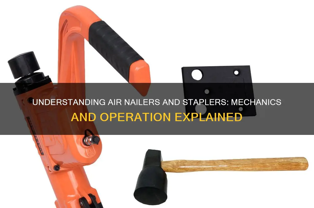 Understanding Air Nailers And Staplers: Mechanics And Operation ...
