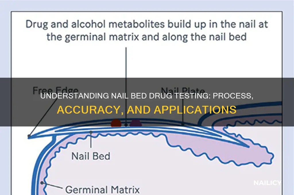 Understanding Nail Bed Drug Testing: Process, Accuracy, And ...