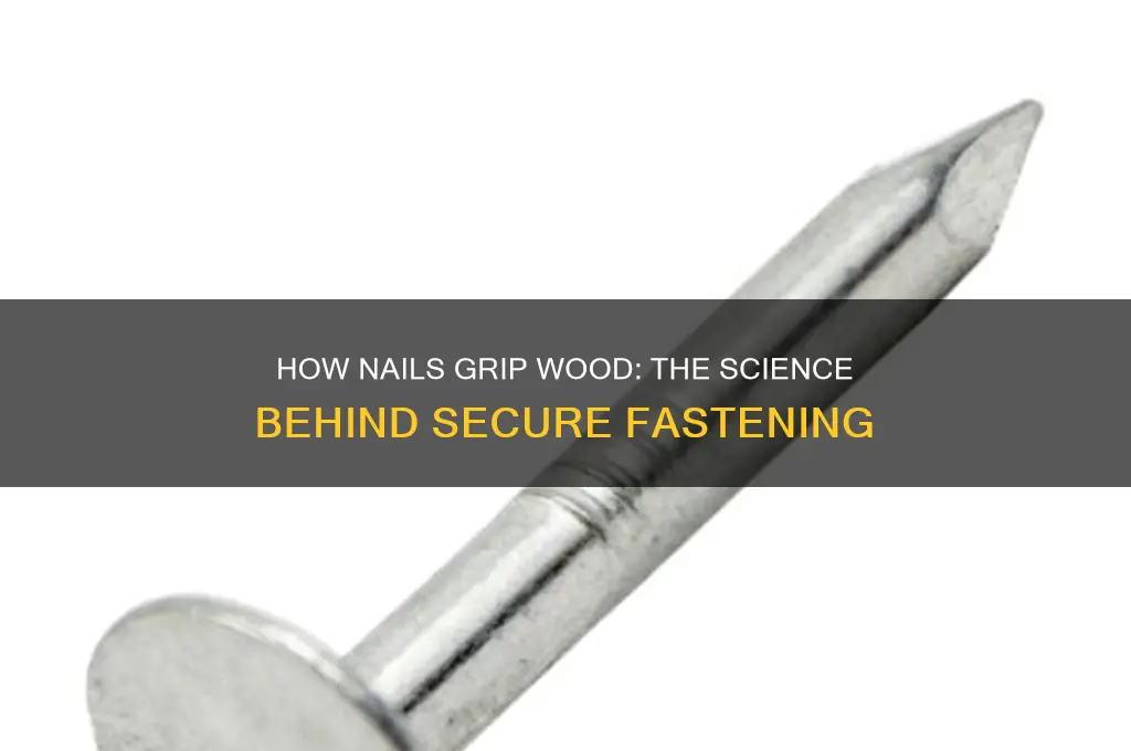 How Nails Grip Wood: The Science Behind Secure Fastening | Nailicy