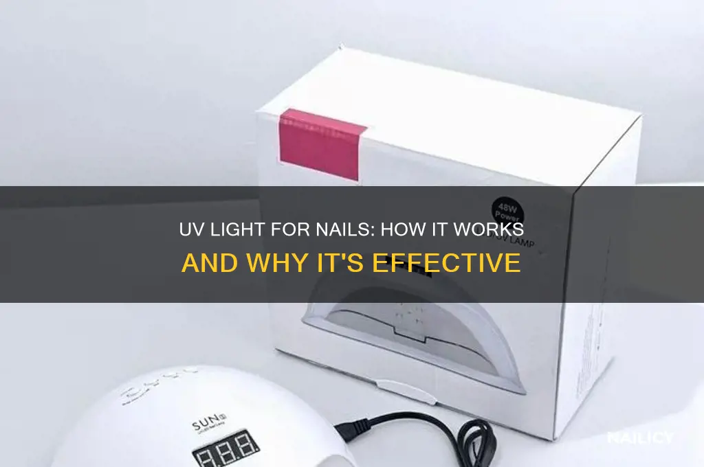 Uv Light For Nails: How It Works And Why It's Effective | Nailicy