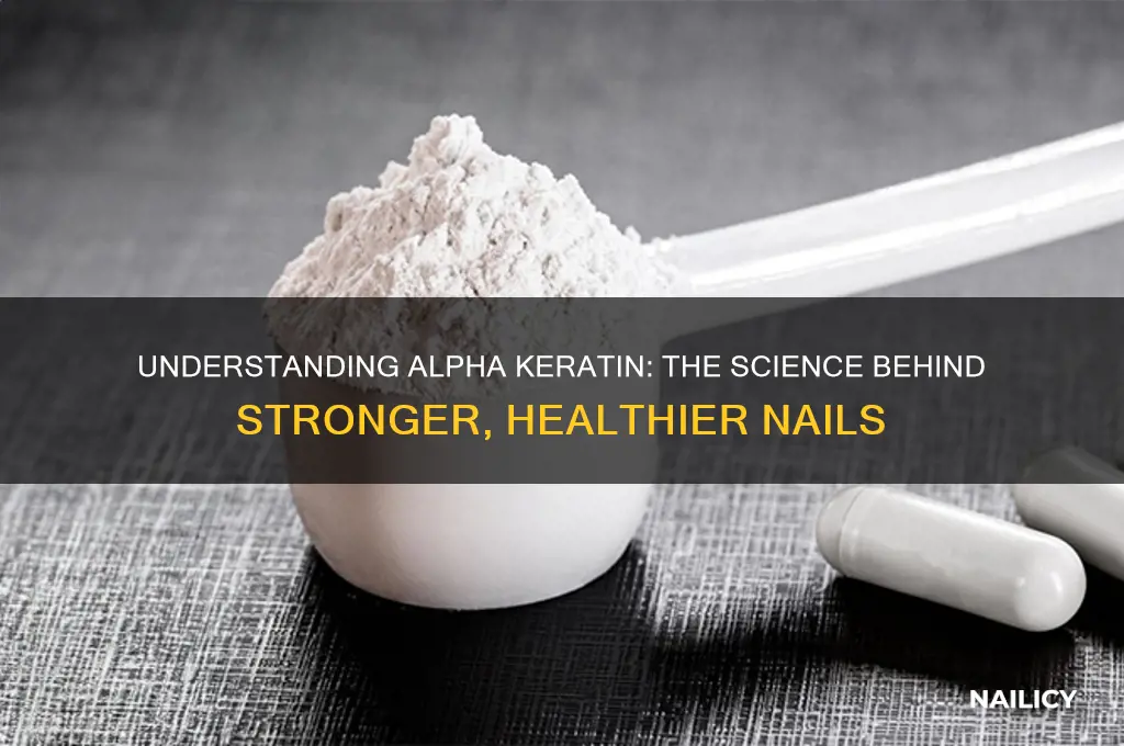 Understanding Alpha Keratin: The Science Behind Stronger, Healthier ...
