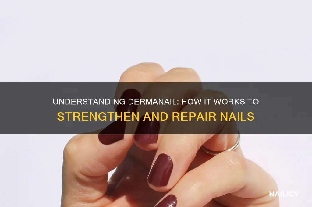 Understanding Dermanail: How It Works To Strengthen And Repair Nails ...