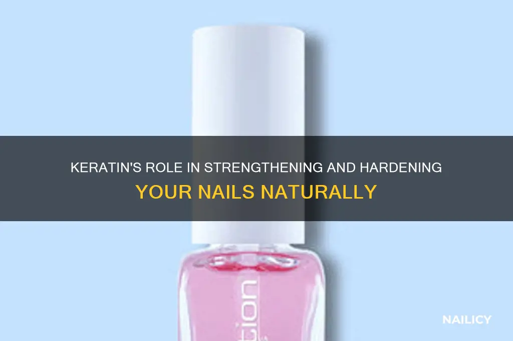 Keratin's Role In Strengthening And Hardening Your Nails Naturally ...