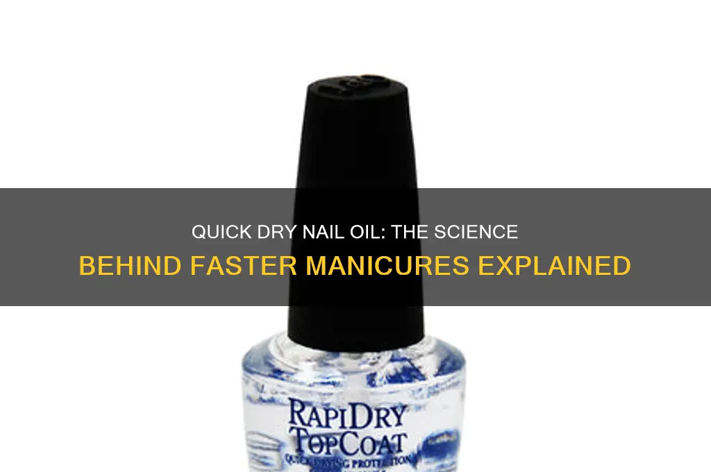 Quick Dry Nail Oil: The Science Behind Faster Manicures Explained | Nailicy