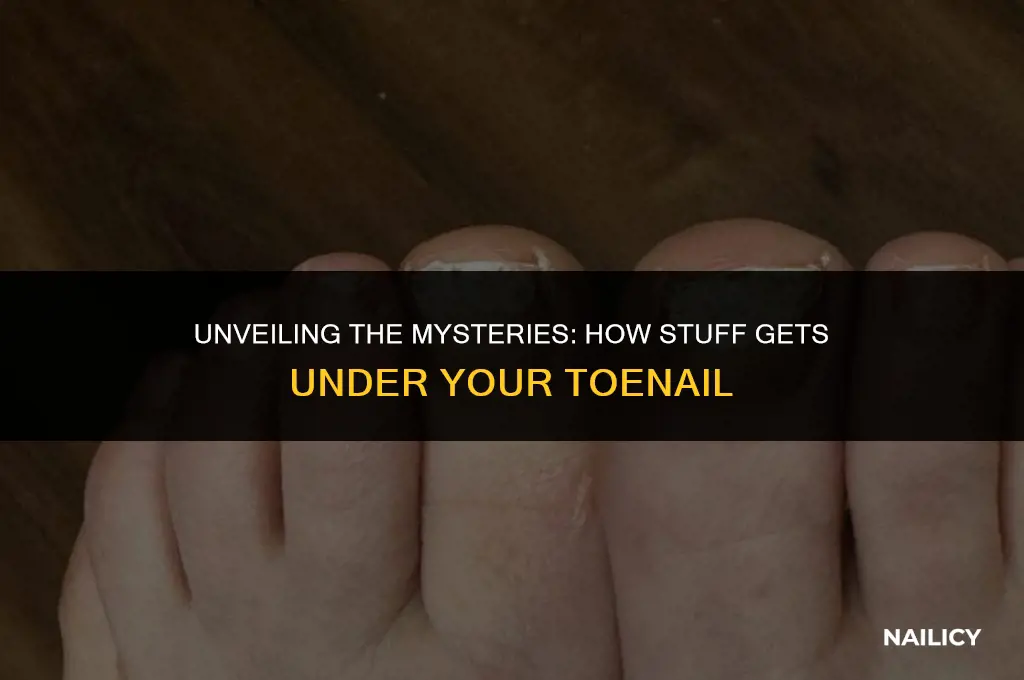 Unveiling The Mysteries: How Stuff Gets Under Your Toenail | Nailicy
