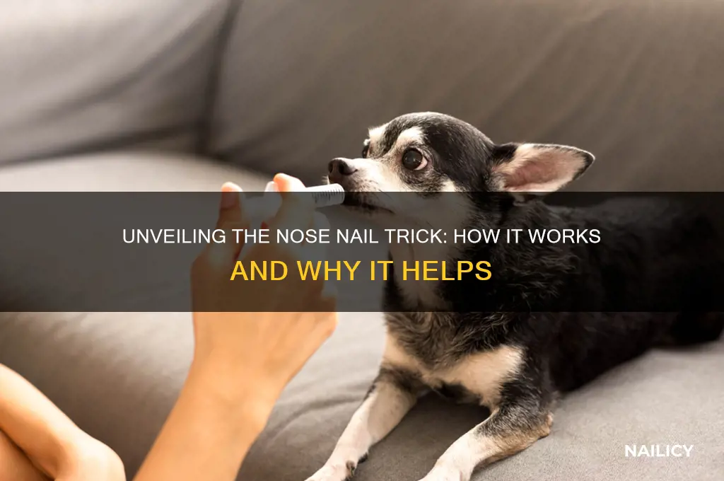 Unveiling The Nose Nail Trick: How It Works And Why It Helps | Nailicy