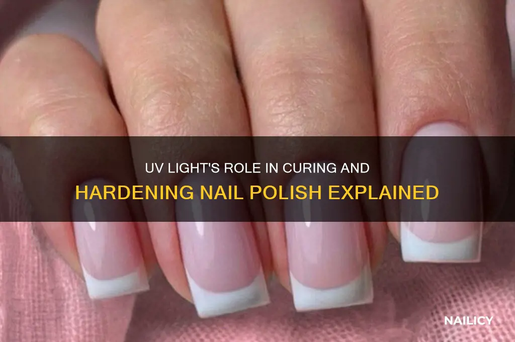 Uv Light's Role In Curing And Hardening Nail Polish Explained | Nailicy