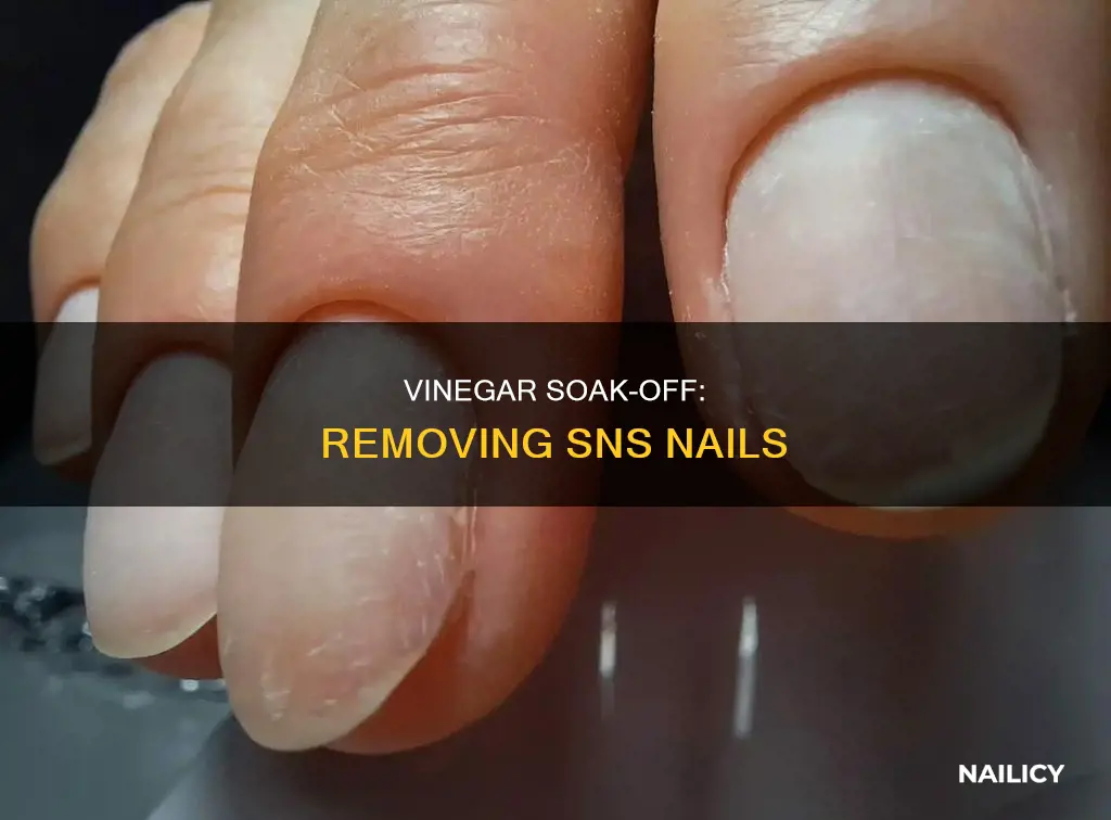 Vinegar Soak-Off: Removing Sns Nails | Nailicy