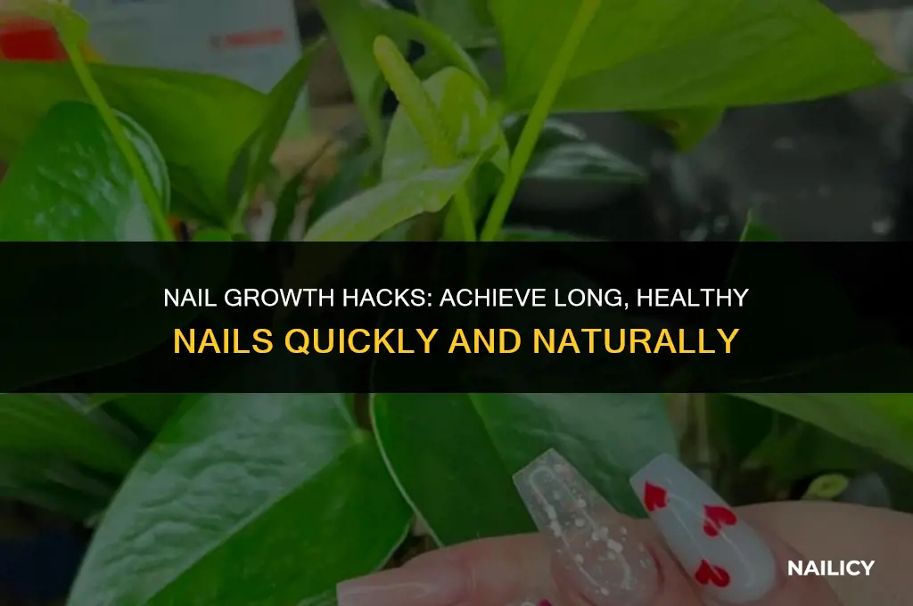 Nail Growth Hacks: Achieve Long, Healthy Nails Quickly And Naturally ...