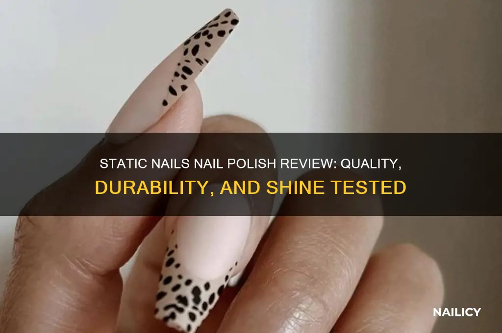 Static Nails Nail Polish Review: Quality, Durability, And Shine Tested ...