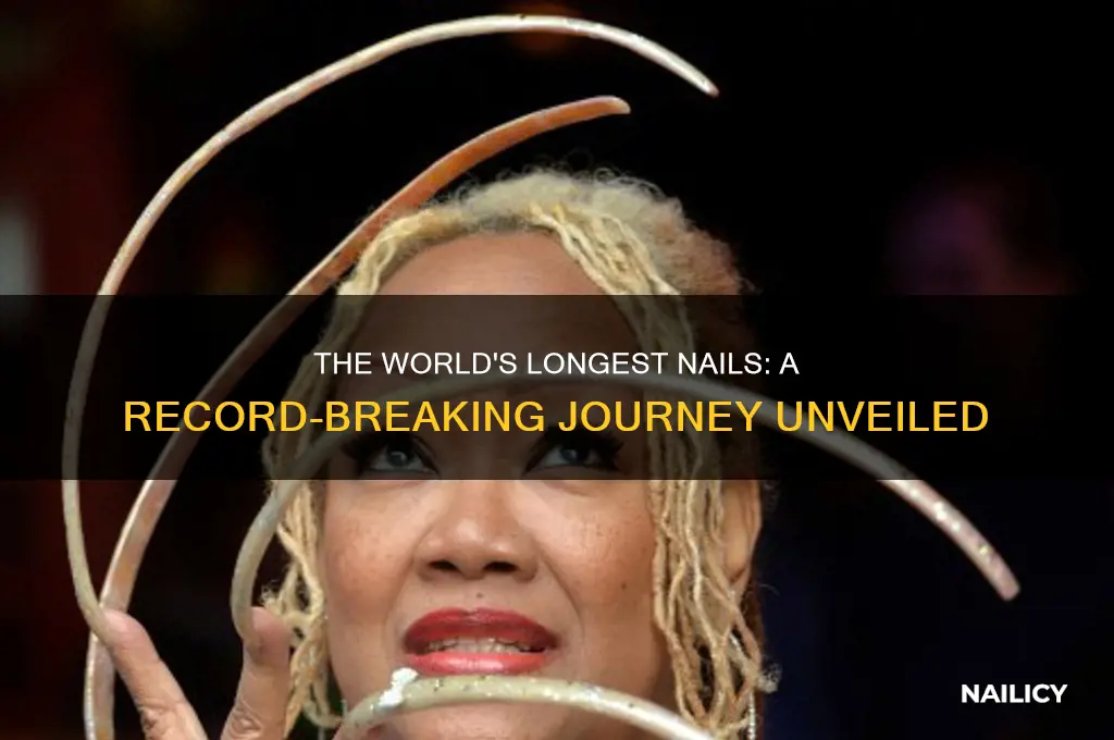 The World's Longest Nails: A Record-Breaking Journey Unveiled | Nailicy