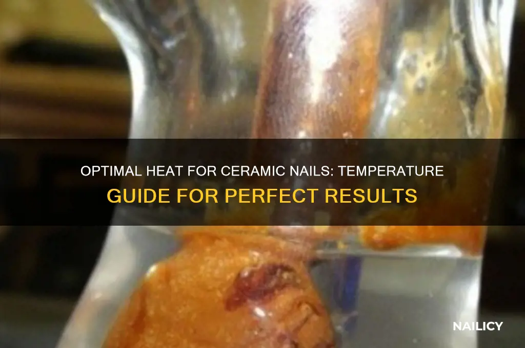 Optimal Heat For Ceramic Nails: Temperature Guide For Perfect Results ...