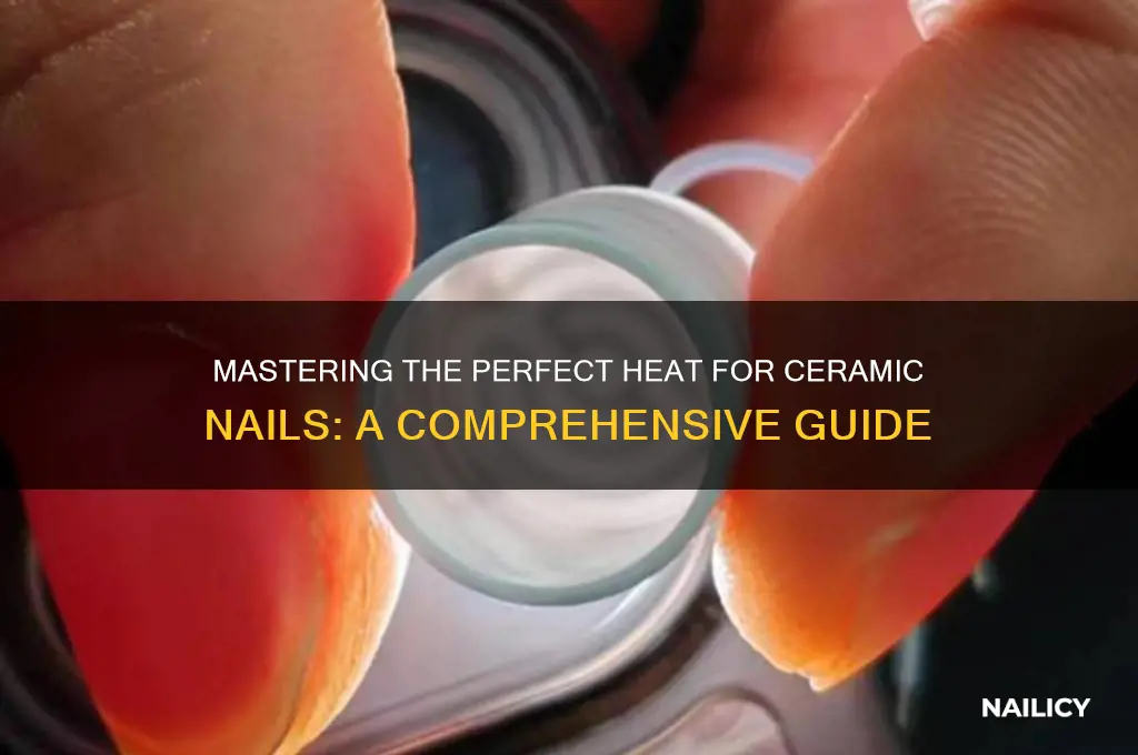 Mastering The Perfect Heat For Ceramic Nails: A Comprehensive Guide ...