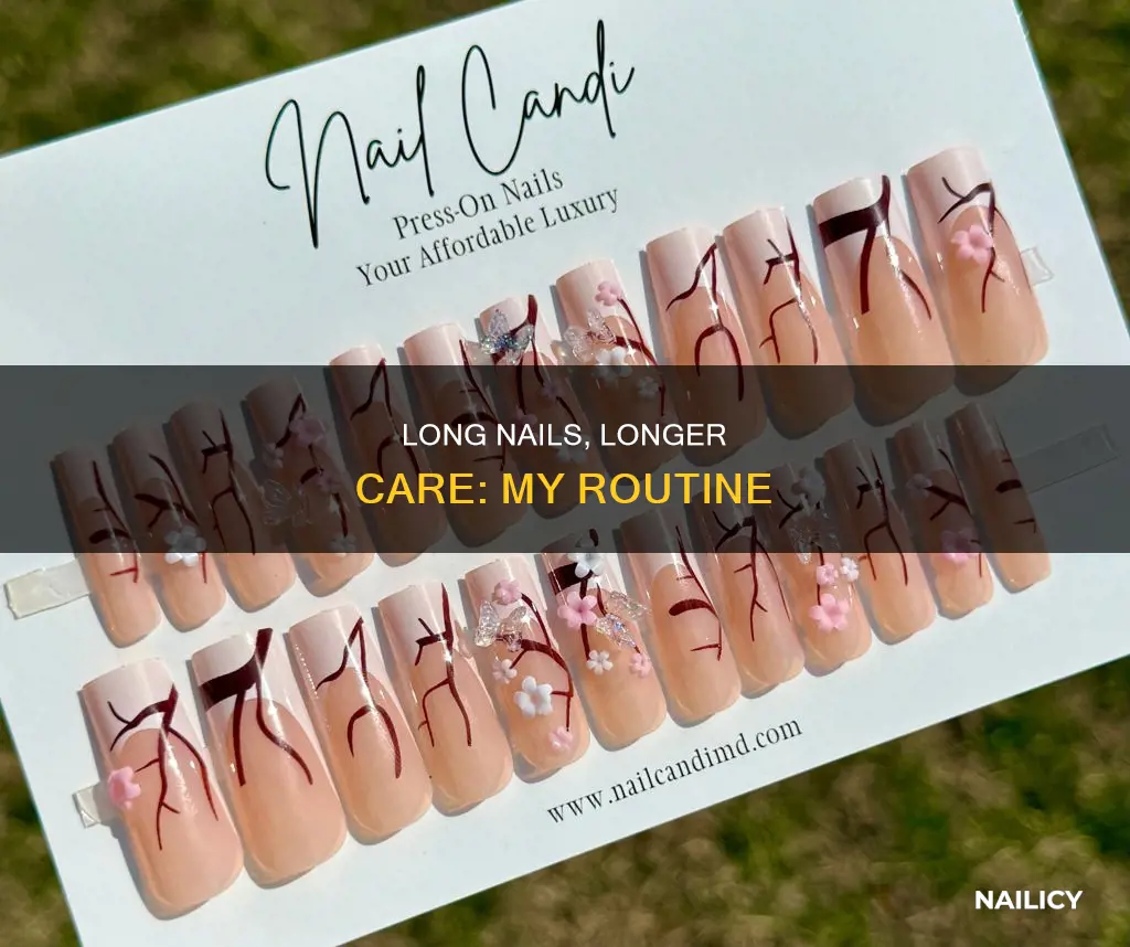 Long Nails, Longer Care: My Routine | Nailicy