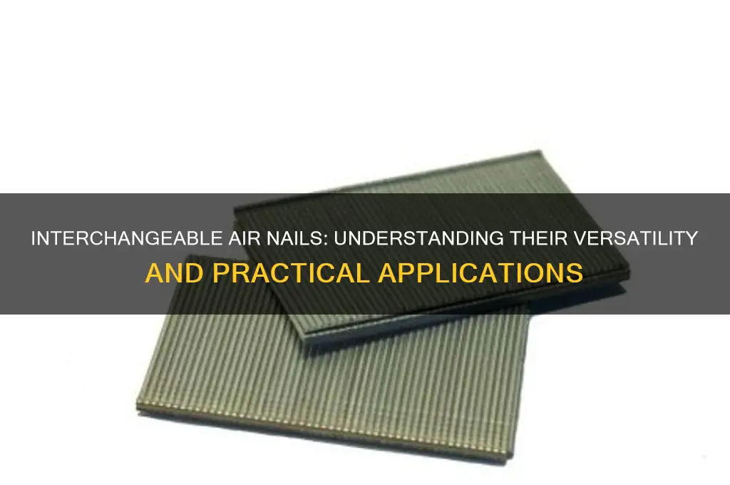 Interchangeable Air Nails: Understanding Their Versatility And ...