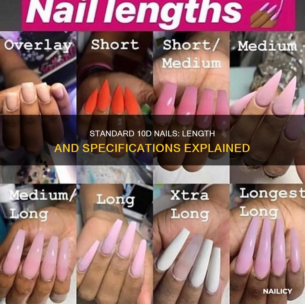 Standard 10D Nails: Length And Specifications Explained | Nailicy