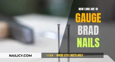 Standard Nails: Length And Uses | Nailicy