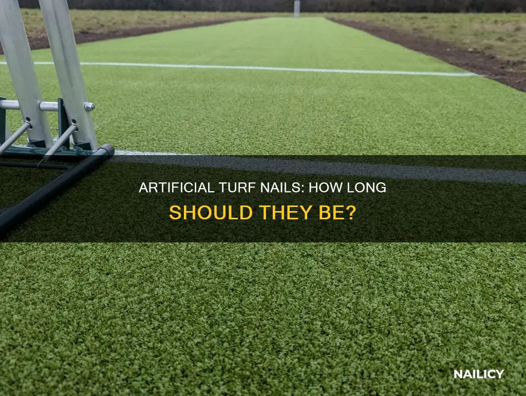 Artificial Turf Nails: How Long Should They Be? | Nailicy