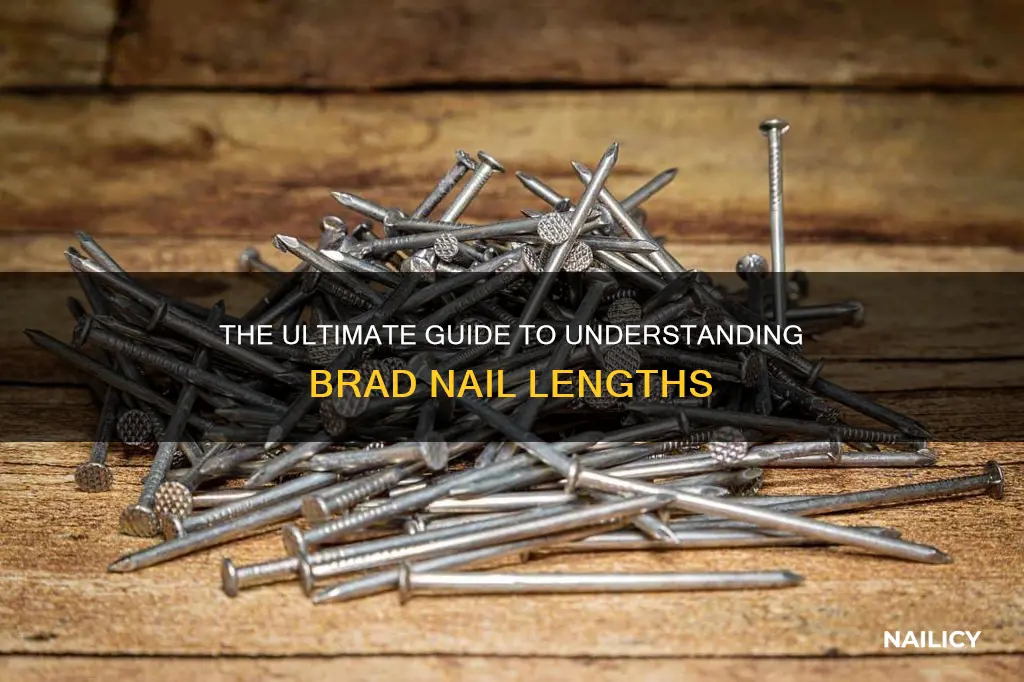 The Ultimate Guide To Understanding Brad Nail Lengths | Nailicy