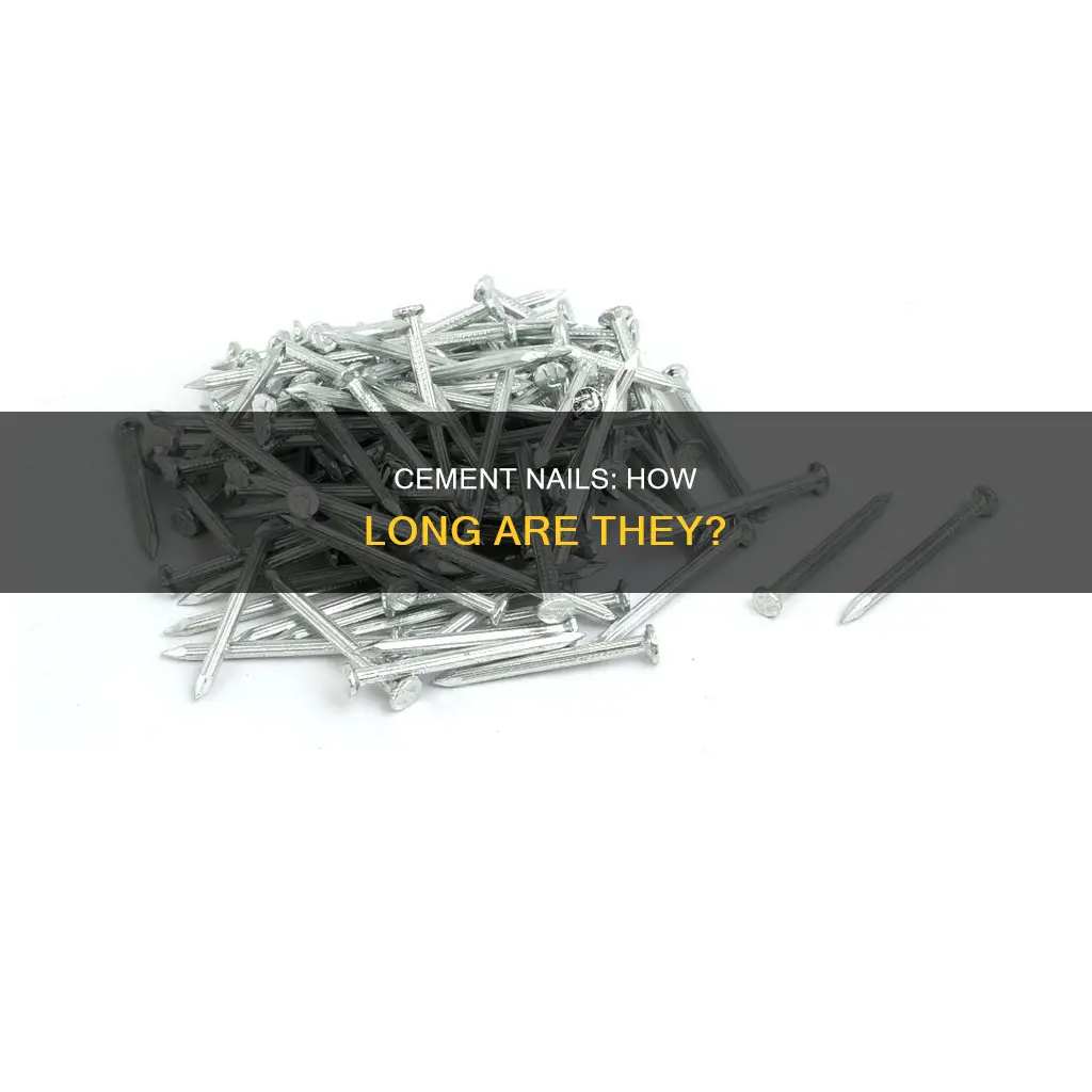 Cement Nails: How Long Are They? | Nailicy