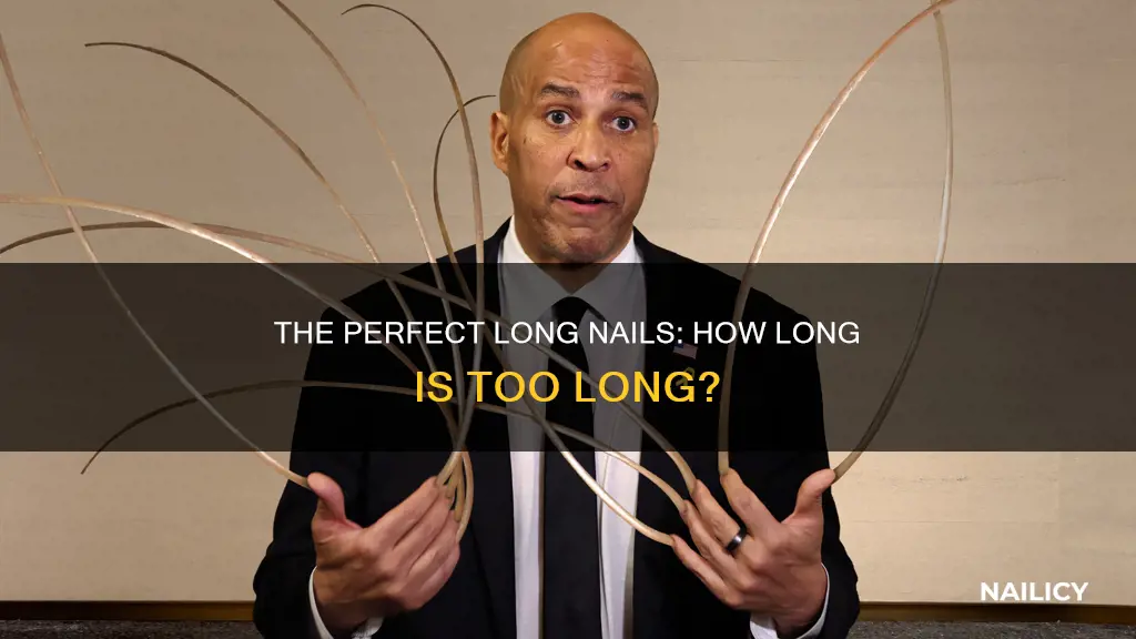 The Perfect Long Nails: How Long Is Too Long? | Nailicy