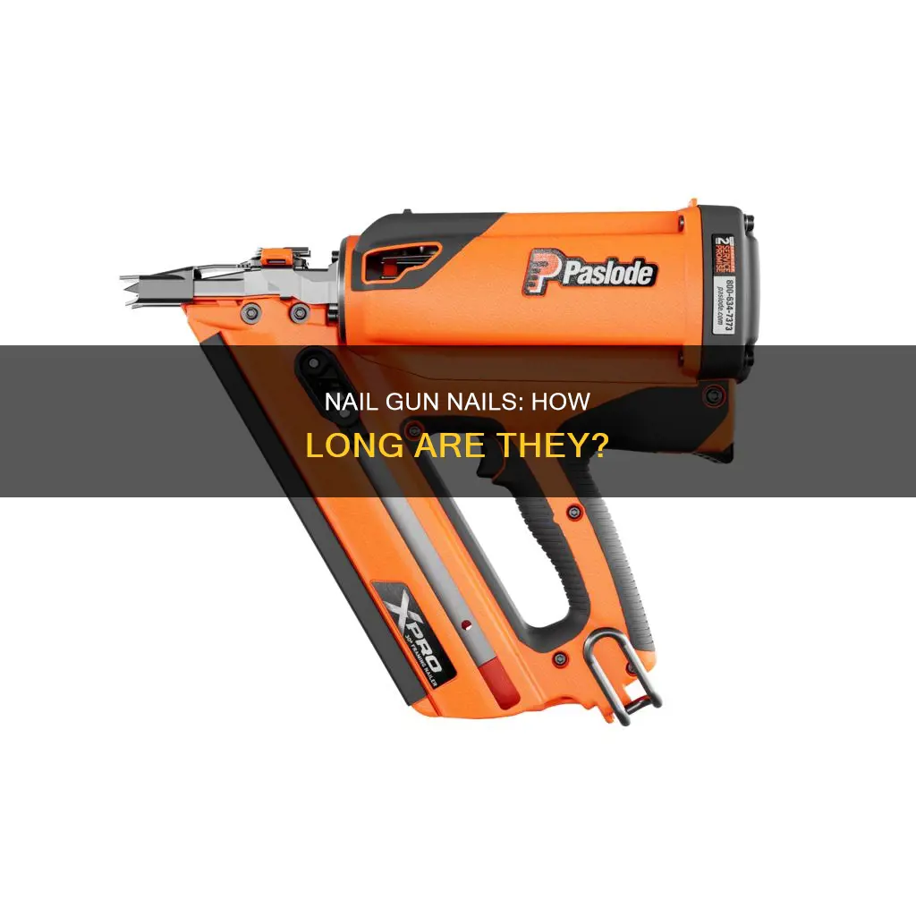 Nail Gun Nails: How Long Are They? | Nailicy