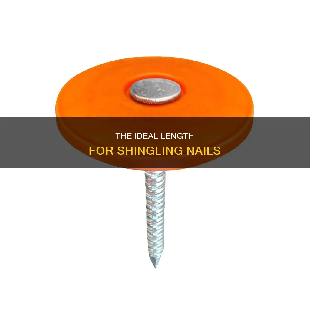 The Ideal Length For Shingling Nails | Nailicy