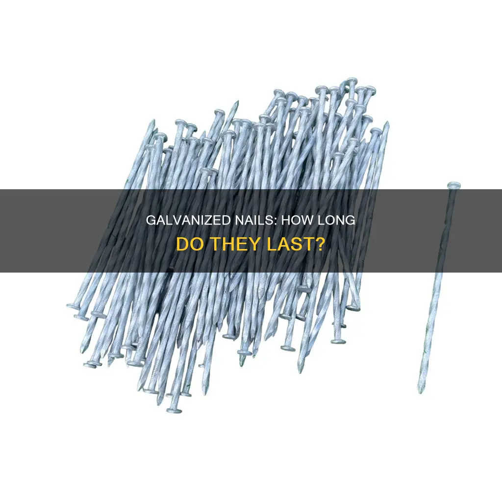 Galvanized Nails: How Long Do They Last? | Nailicy