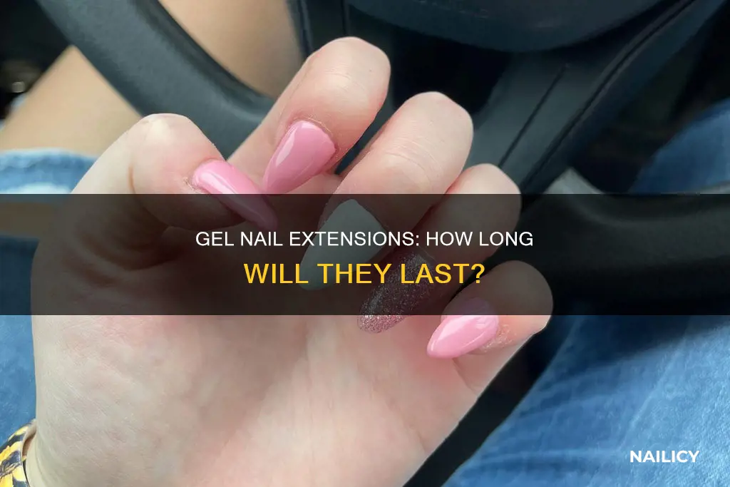 Gel Nail Extensions: How Long Will They Last? | Nailicy
