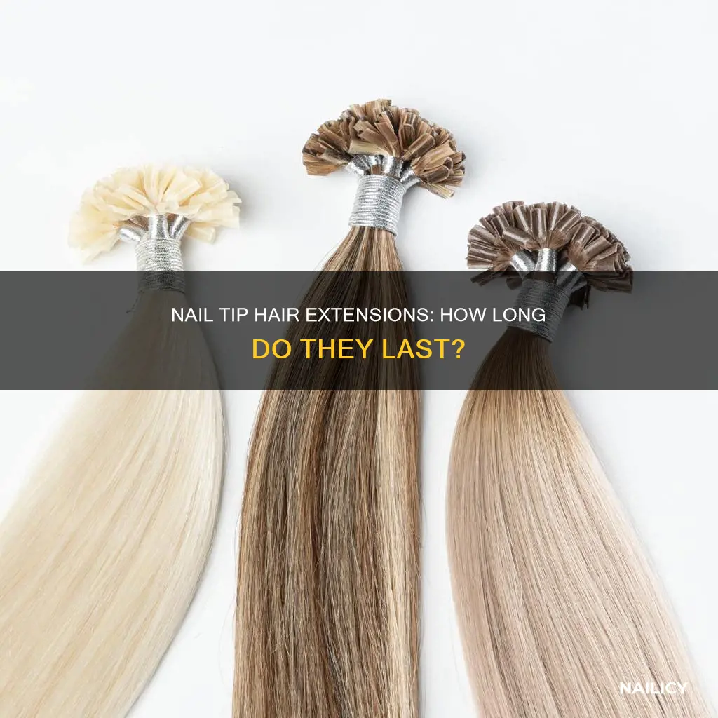 Nail Tip Hair Extensions: How Long Do They Last? | Nailicy