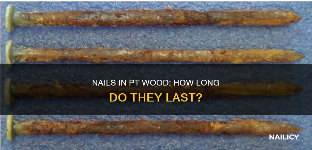 Nails In Pt Wood: How Long Do They Last? | Nailicy