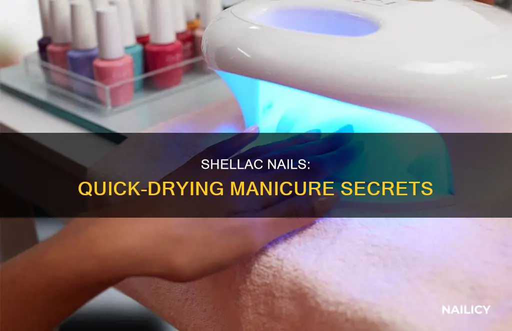 Shellac Nails: Quick-Drying Manicure Secrets | Nailicy