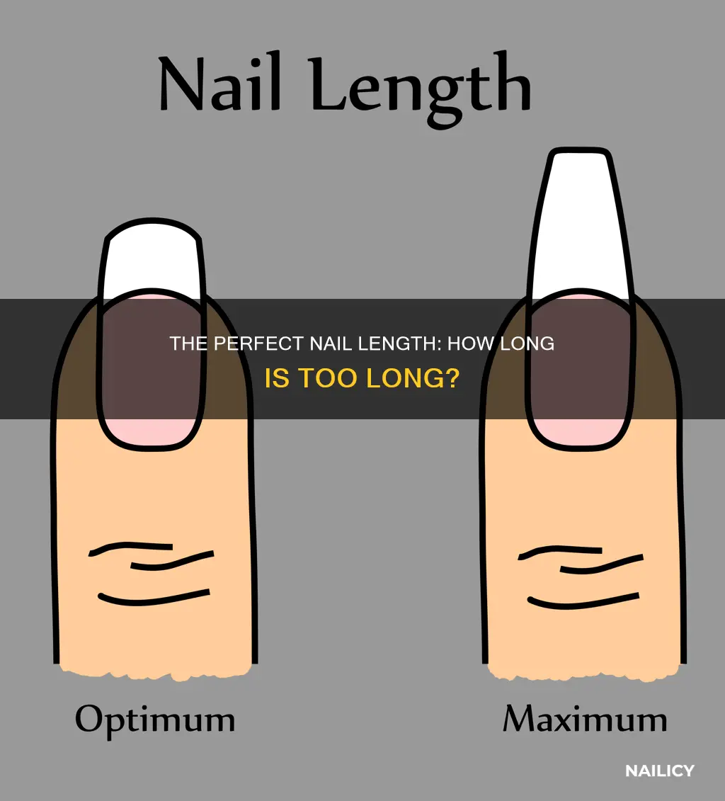 The Perfect Nail Length: How Long Is Too Long? | Nailicy
