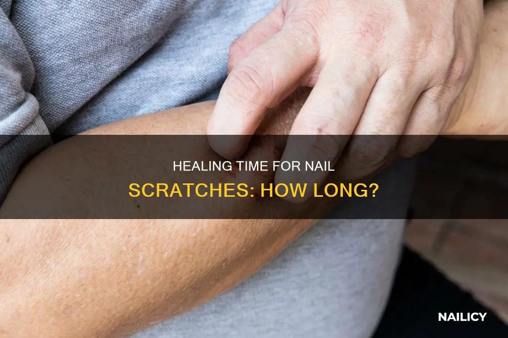 Healing Time For Nail Scratches: How Long? | Nailicy