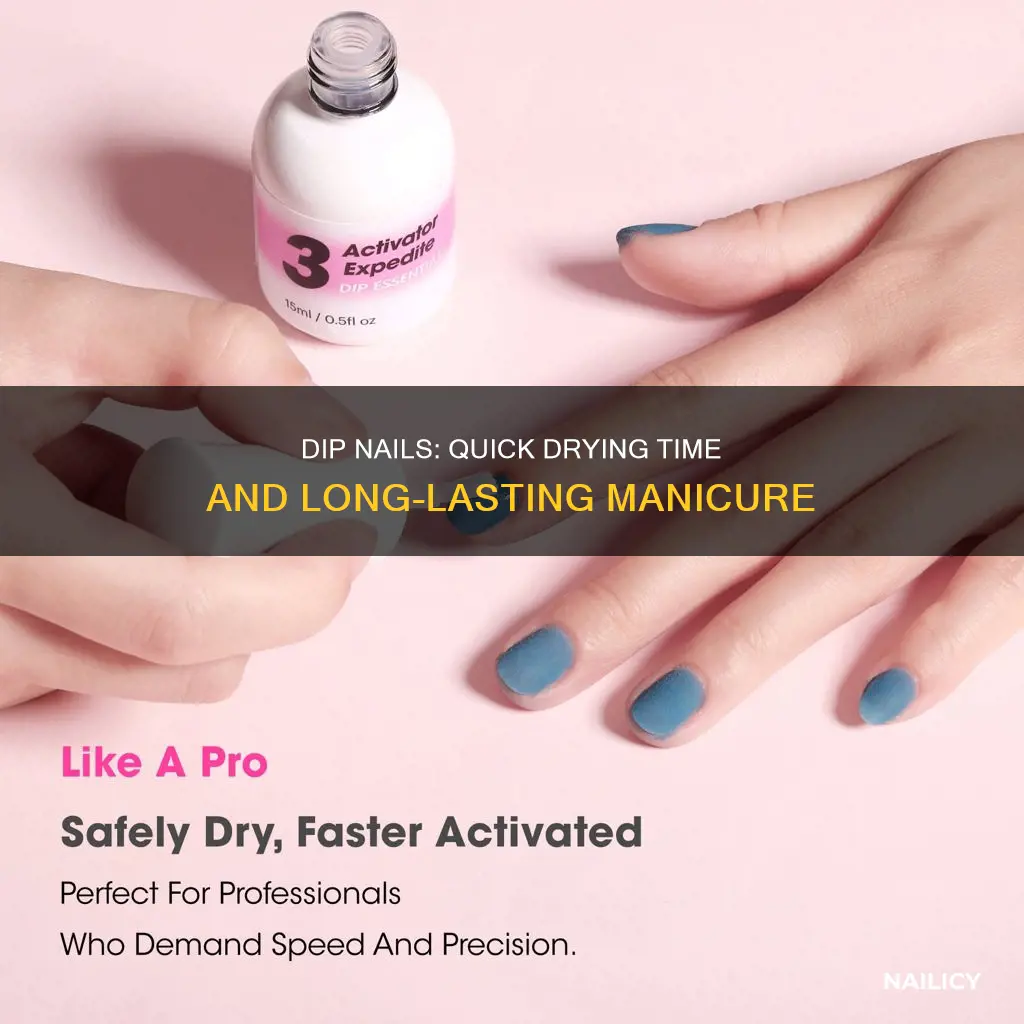 Dip Nails: Quick Drying Time And Long-Lasting Manicure | Nailicy