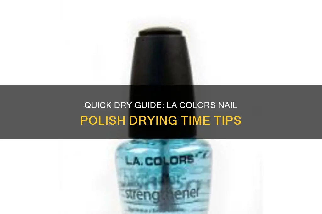 Quick Dry Guide: La Colors Nail Polish Drying Time Tips | Nailicy