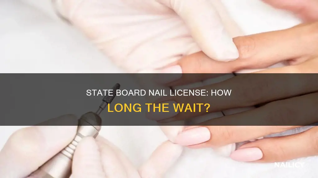 State Board Nail License: How Long The Wait? | Nailicy