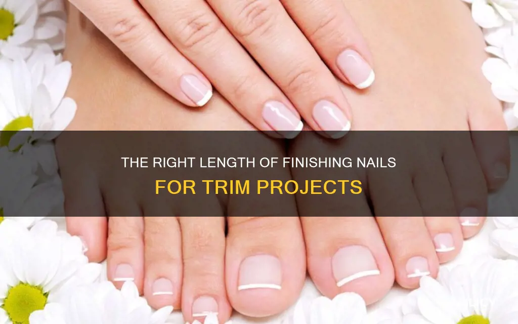 The Right Length Of Finishing Nails For Trim Projects | Nailicy