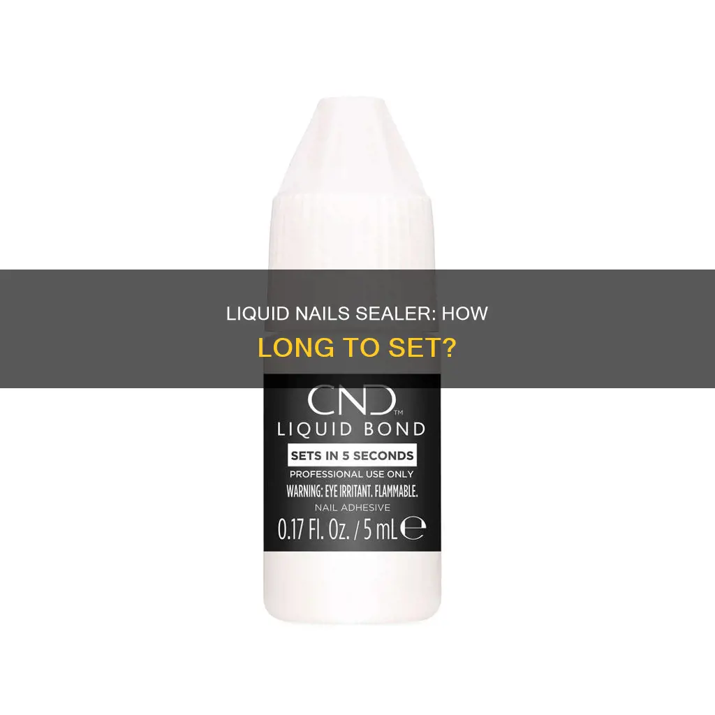 Liquid Nails Sealer: How Long To Set? | Nailicy