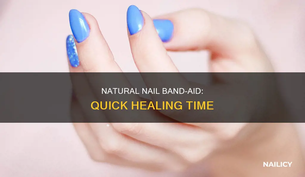 Natural Nail Band-Aid: Quick Healing Time | Nailicy