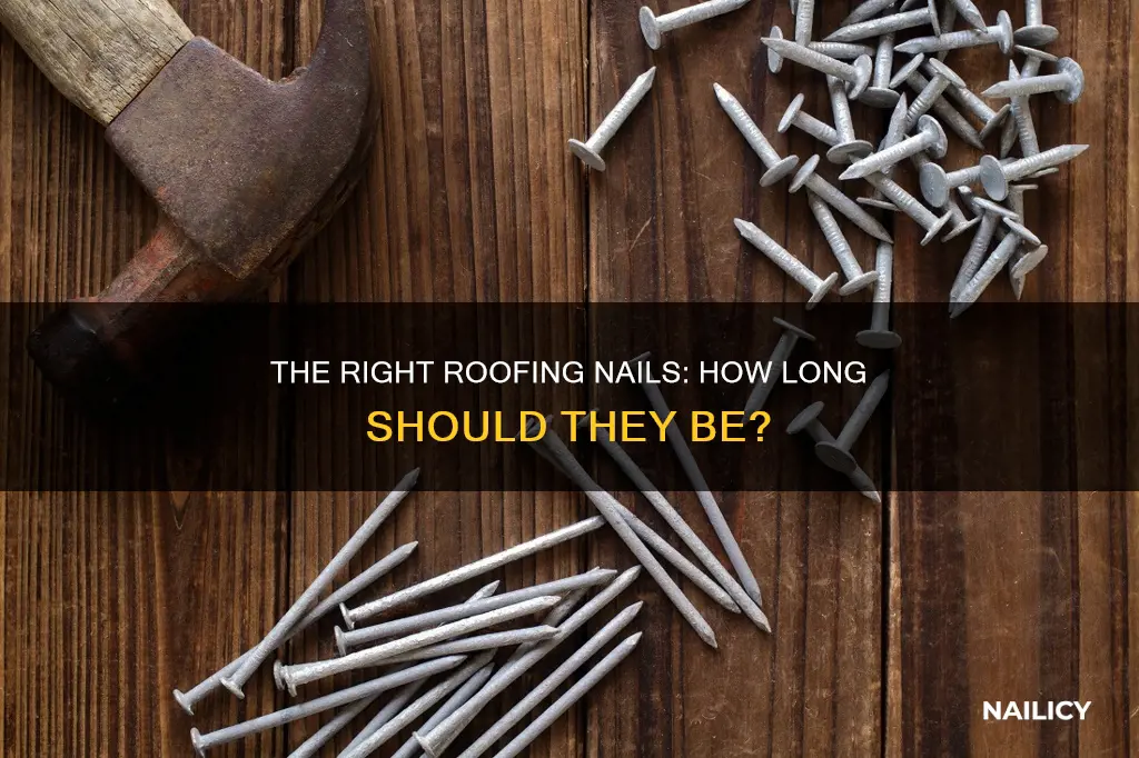 The Right Roofing Nails: How Long Should They Be? | Nailicy