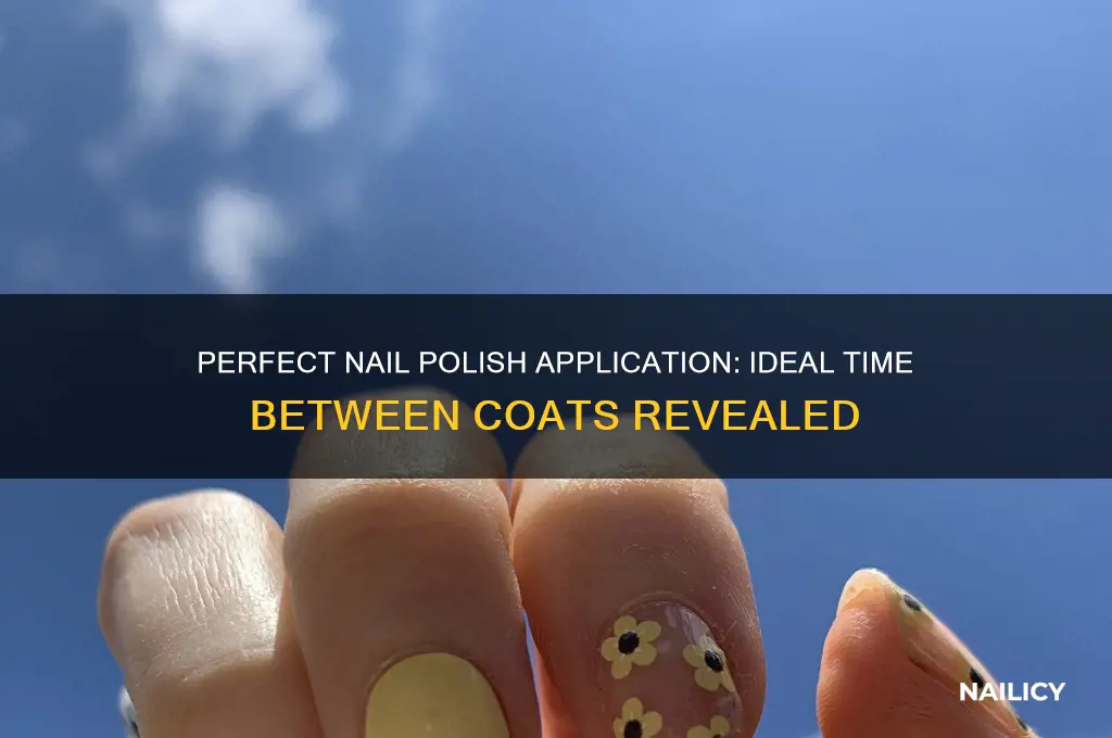 Perfect Nail Polish Application: Ideal Time Between Coats Revealed ...