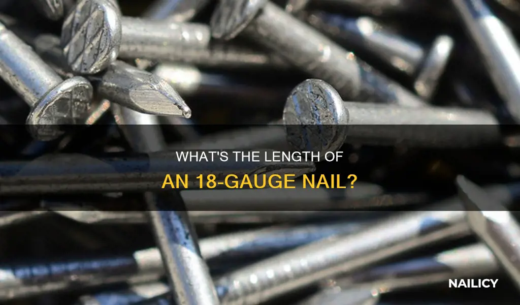 What's The Length Of An 18-Gauge Nail? | Nailicy