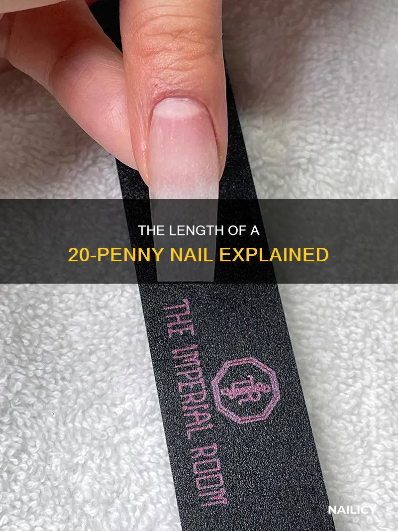 The Length Of A 20-Penny Nail Explained | Nailicy