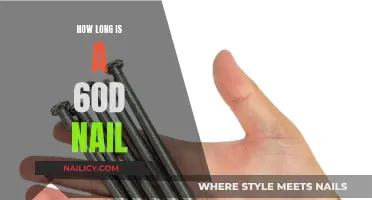Finish Nail Length: Standard Sizes For 6D Nails | Nailicy