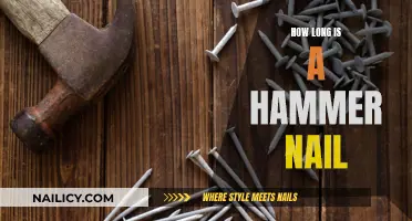Standard Nail Sizes: Length Of A 6D Nail | Nailicy