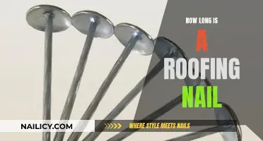 Finish Nail Length: Standard Sizes For 6D Nails | Nailicy