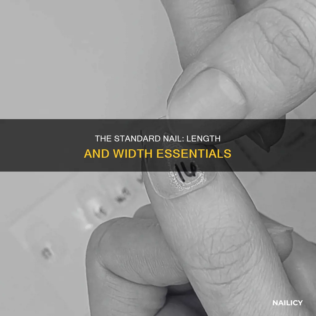 The Standard Nail: Length And Width Essentials | Nailicy