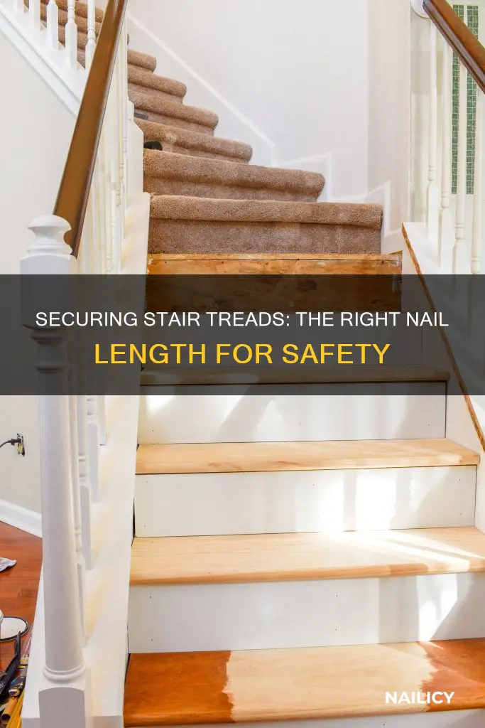 Securing Stair Treads: The Right Nail Length For Safety | Nailicy