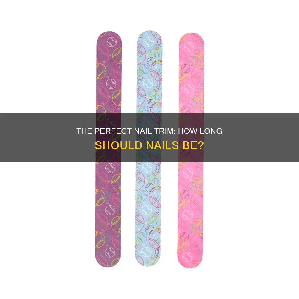 The Perfect Nail Trim: How Long Should Nails Be? | Nailicy